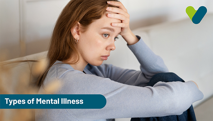 Mental Illness Types: An Overview of the Different Types of Mental ...